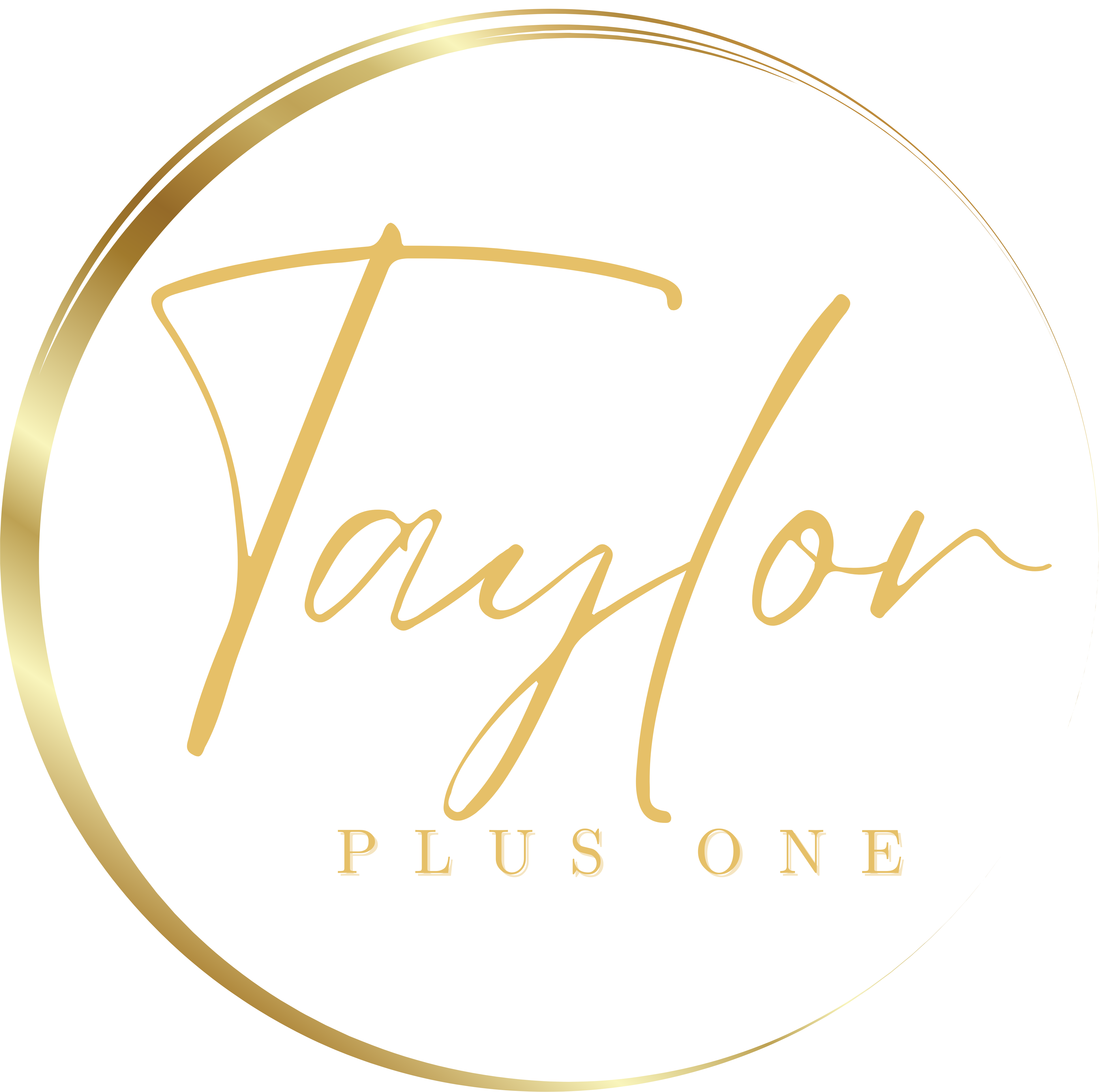 Products – Taylor Plus One